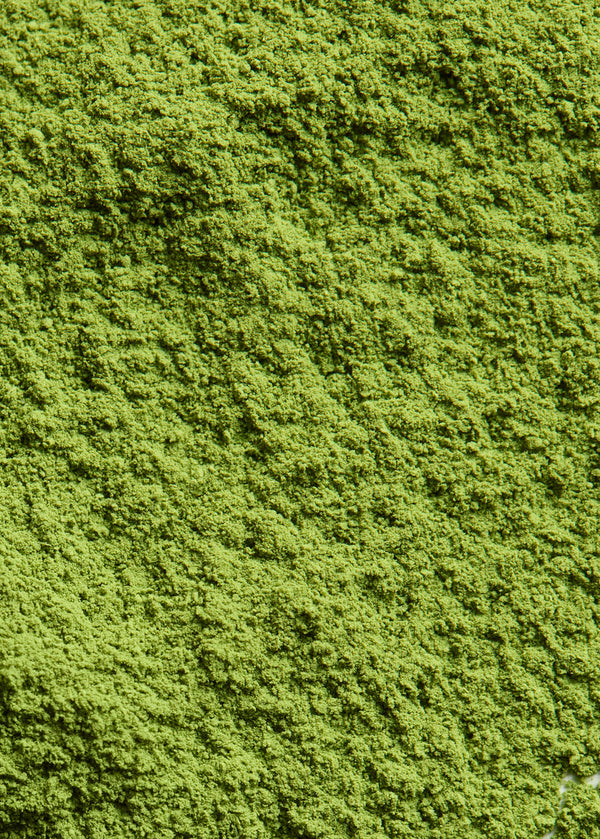 Ceremonial Matcha Ichi no Shiro '一の白' – Simply Native